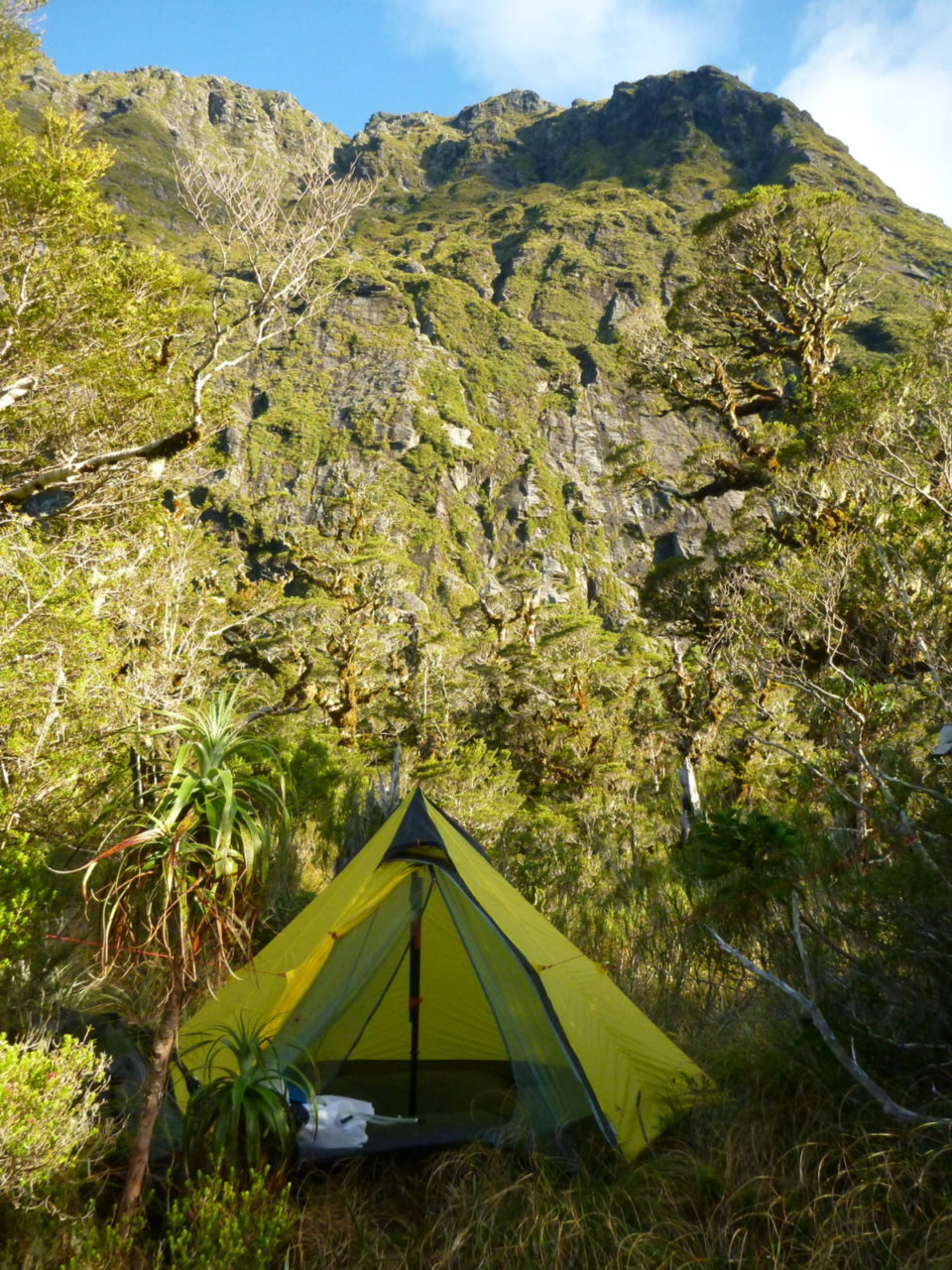 Okuru River (I/III/IV-) - PackraftingTrips.NZ