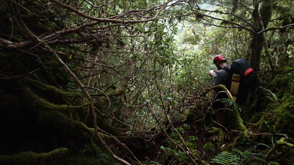 Okuru River (I/III/IV-) - PackraftingTrips.NZ