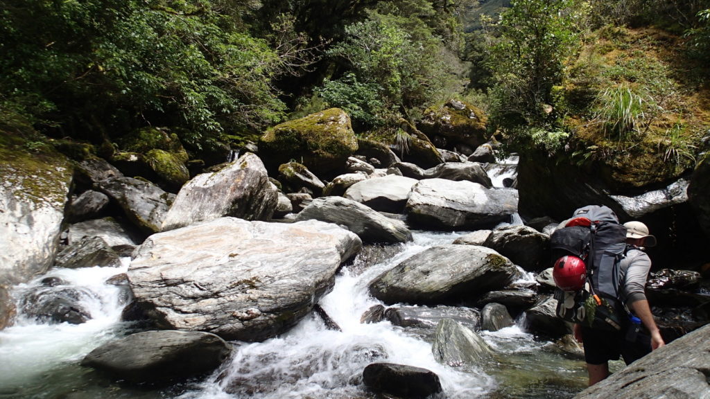 Okuru River (I/III/IV-) - PackraftingTrips.NZ