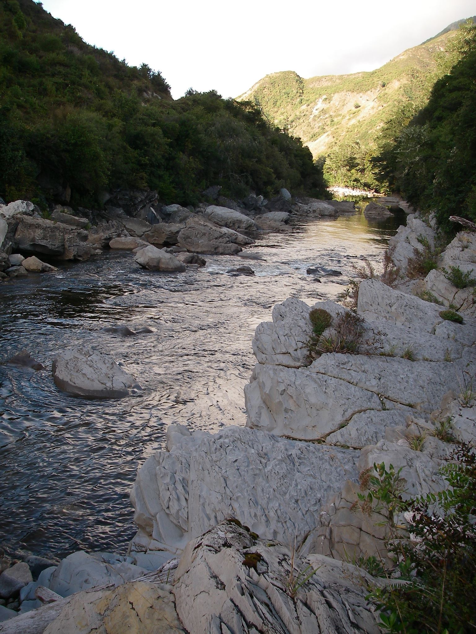 Matiri River (II+/III) - PackraftingTrips.NZ