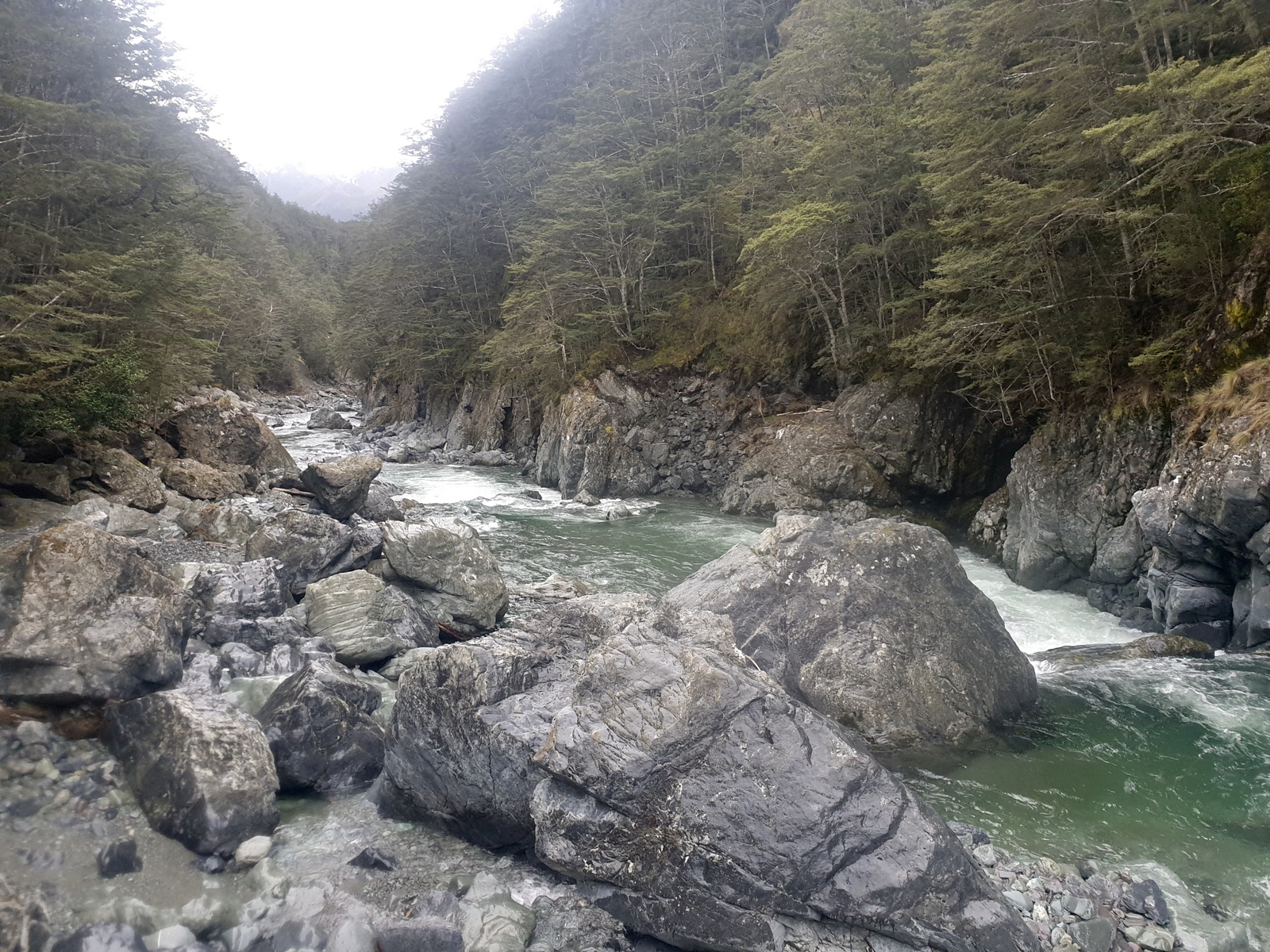 Greenstone River (III+/IV) - PackraftingTrips.NZ