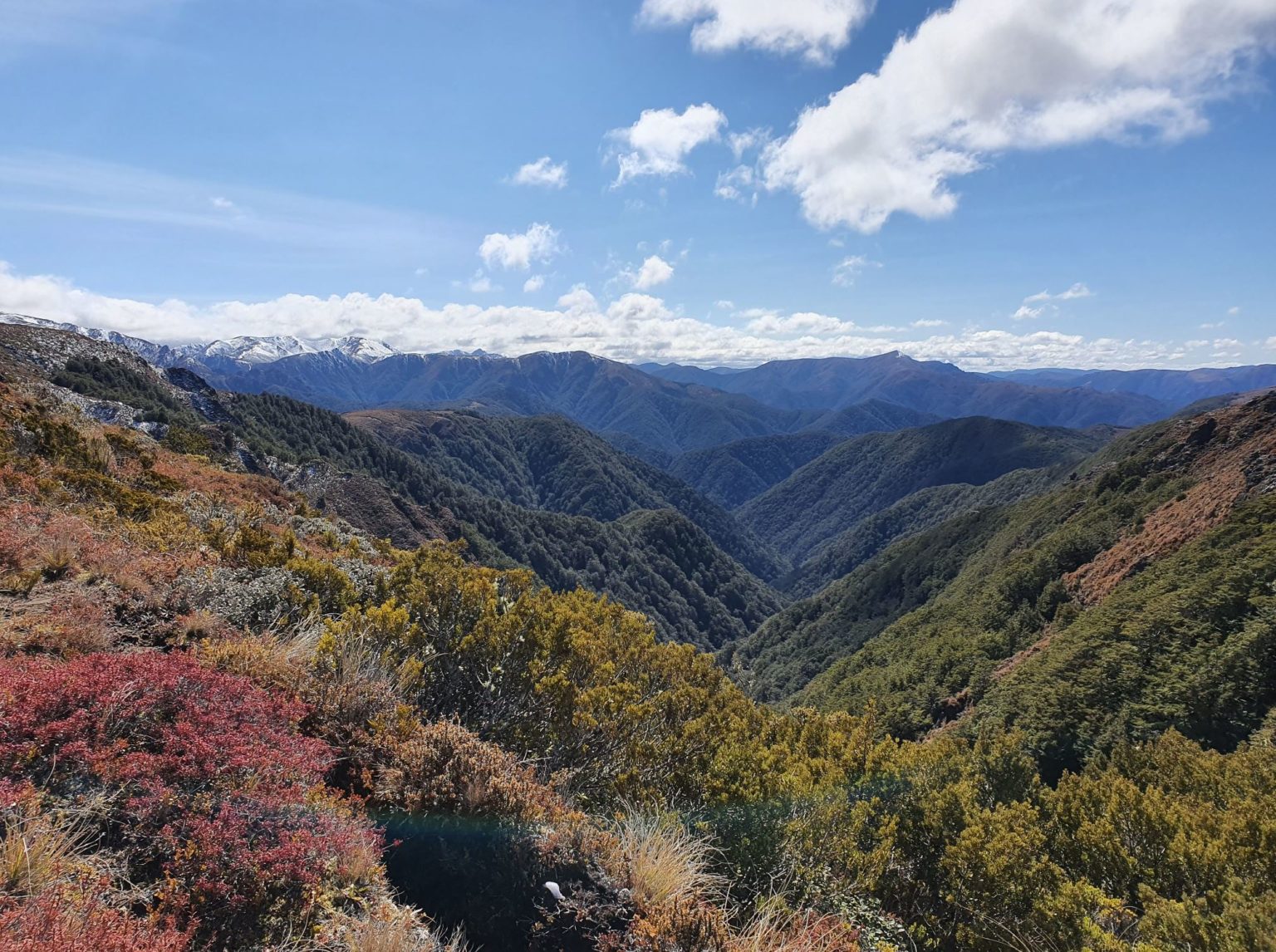 Upper Rangitikei (III/IV) - PackraftingTrips.NZ