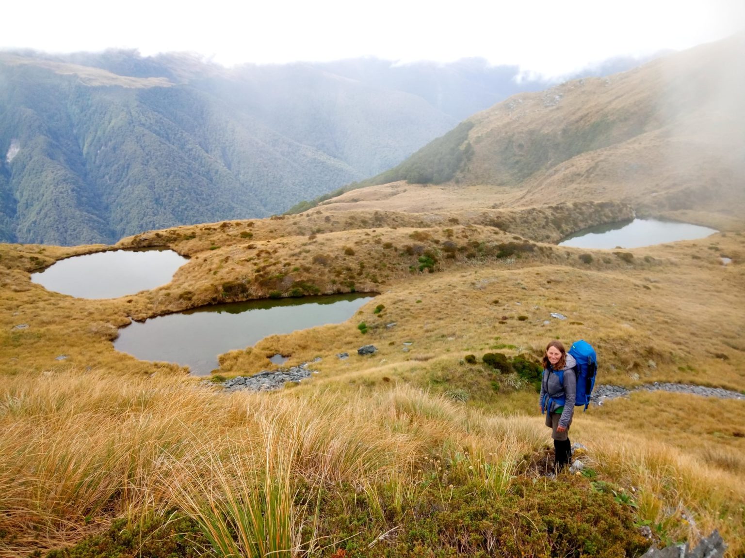 Thomas River (III & IV/V P) via Mataketake tops - PackraftingTrips.NZ