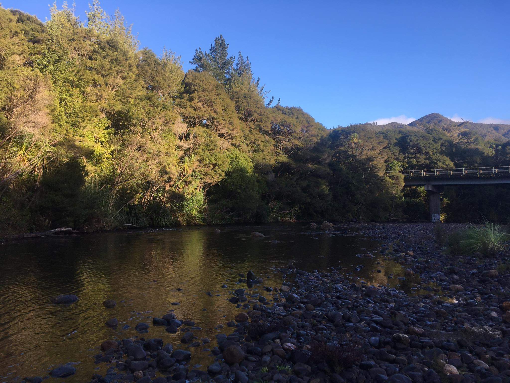 Tairua River (II) Broken Hills run: SH25A to Hikuai - PackraftingTrips.NZ
