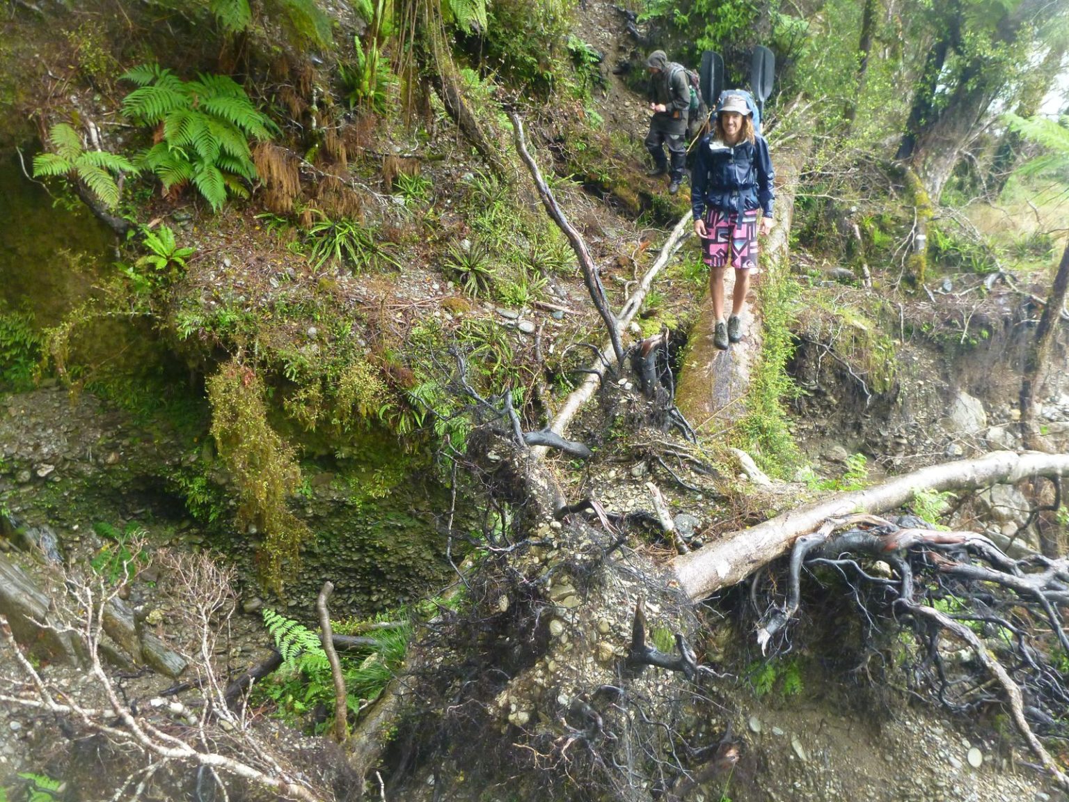 Paringa River (II/III+) - PackraftingTrips.NZ