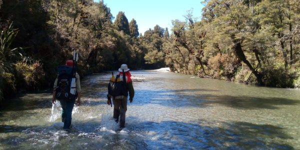 The Ellery, Jackson & Arawhata Loop (I+) - PackraftingTrips.NZ