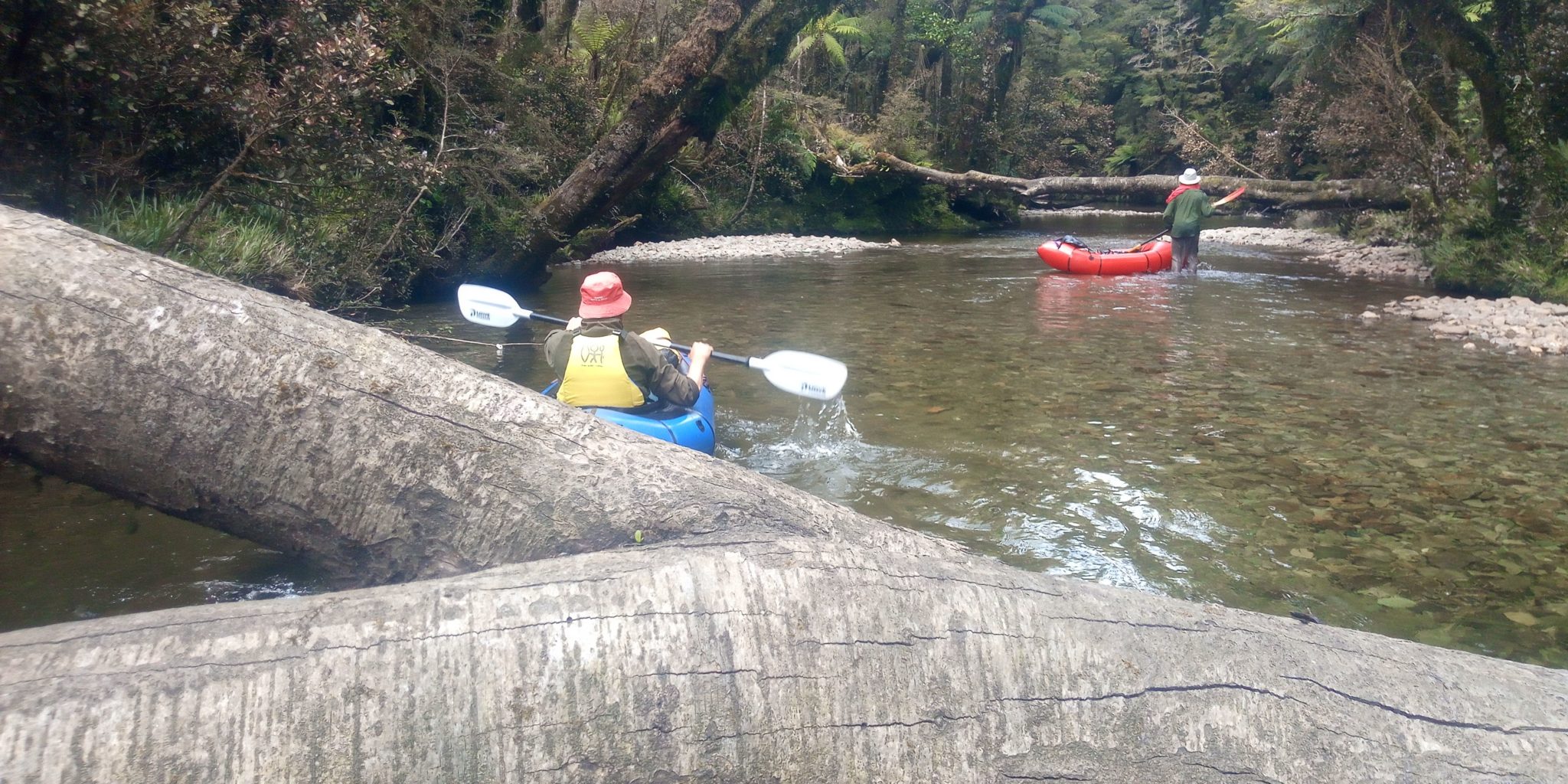 The Ellery, Jackson & Arawhata Loop (I+) - PackraftingTrips.NZ