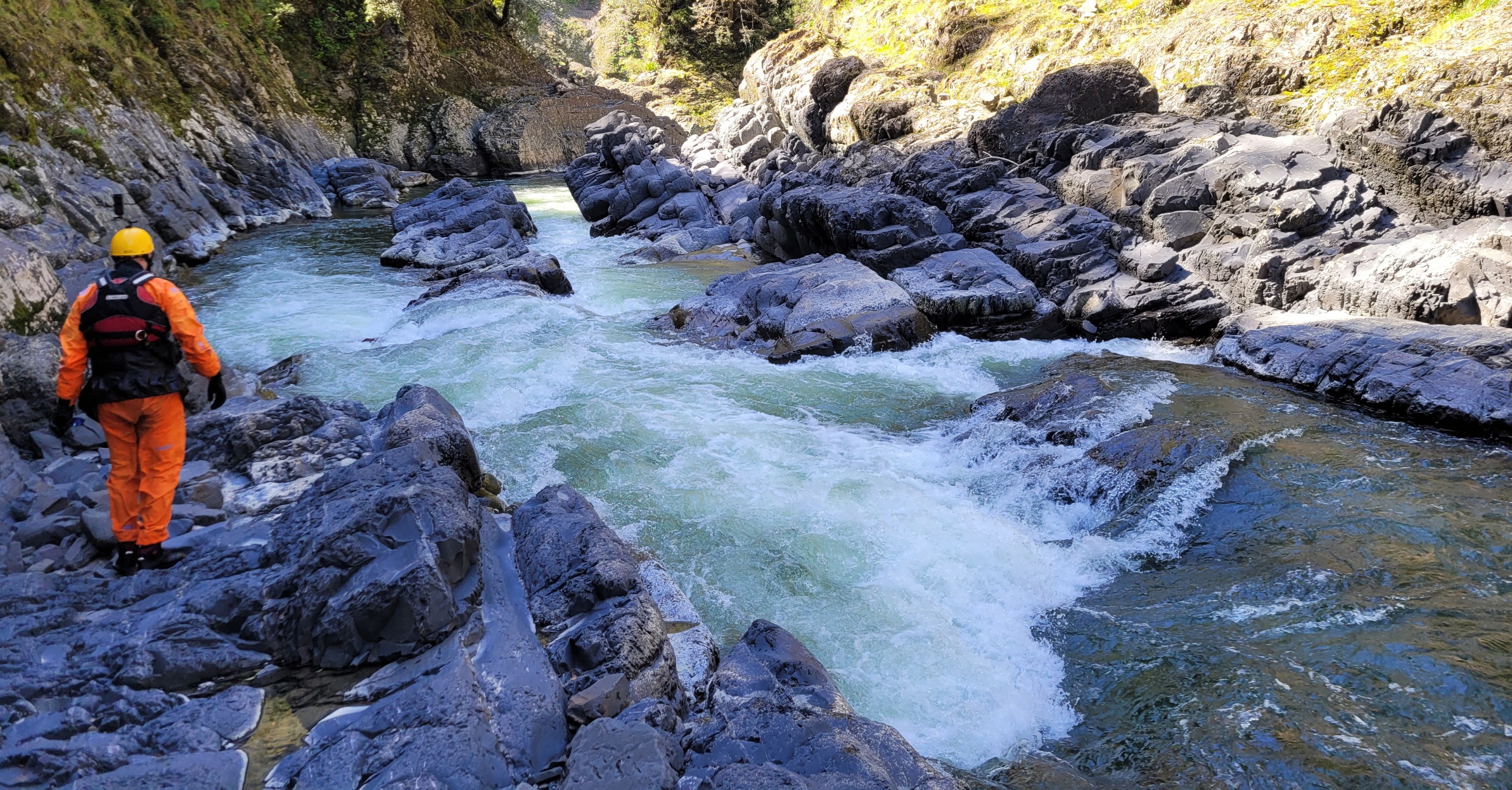 Motu (III+/ IV) - PackraftingTrips.NZ