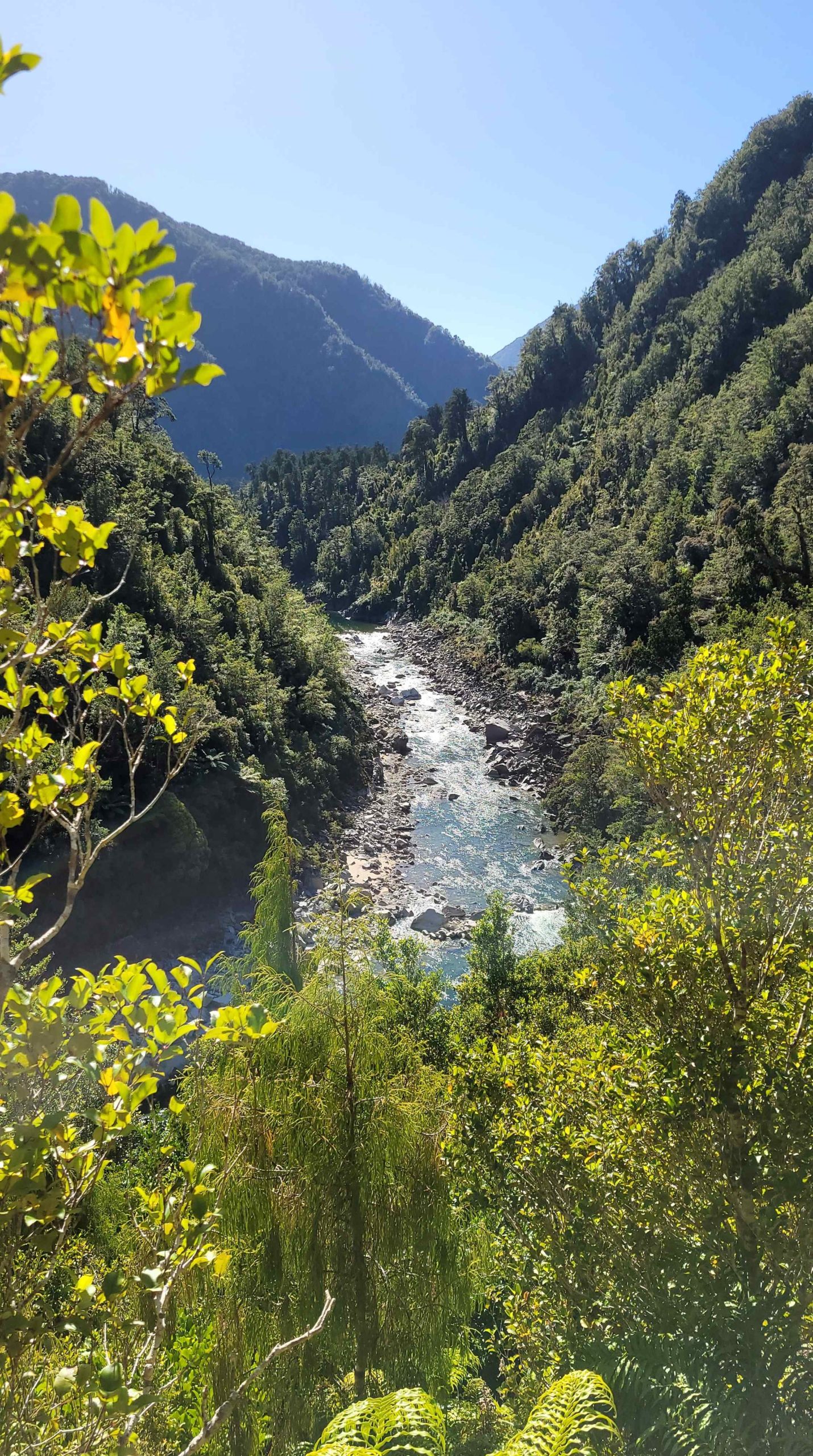 Mokihinui (III+/IV) - PackraftingTrips.NZ